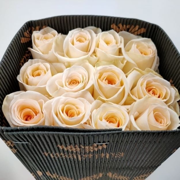 R Gr Crystal x25 (ec) L5 - Ferdinand DOO